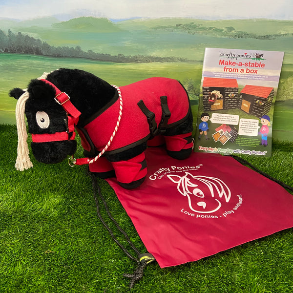 Crafty Pony Rug Starter Set – Crafty Ponies UK