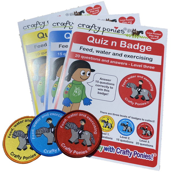 Quiz Booklets and Badges – Crafty Ponies UK